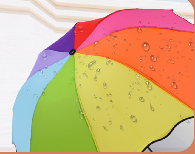 Umbr-RainB ― Оптовый интернет-магазин "Сумкины Дети"